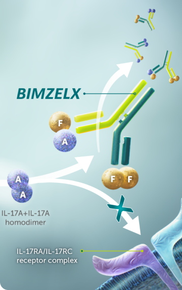 Mechanism of Action|BIMZELX® (bimekizumab-bkzx) First Dual Inhibitor of IL-17A + IL-17F